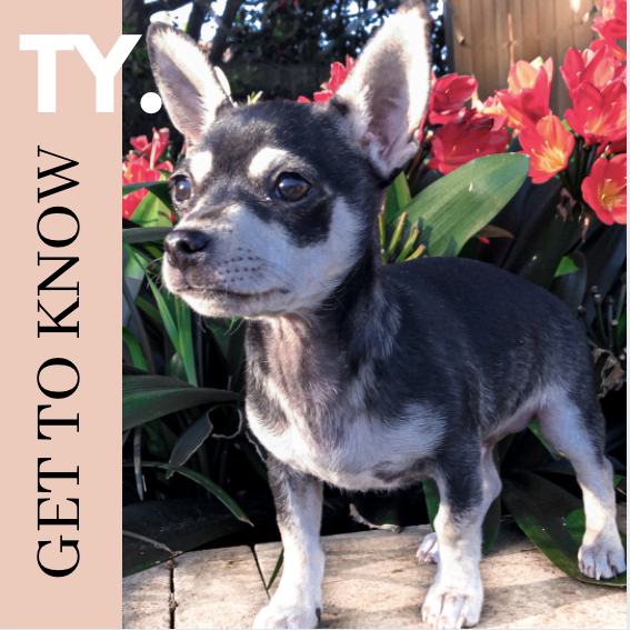 Get to know Ty! – Ty & I